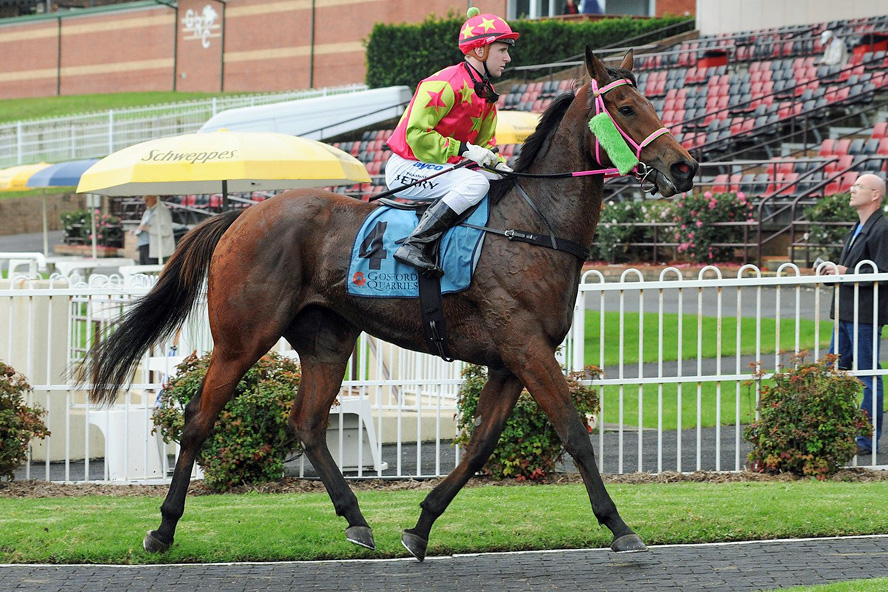 Golden Slipper Winner MOSSFUN in Foal to FRANKEL